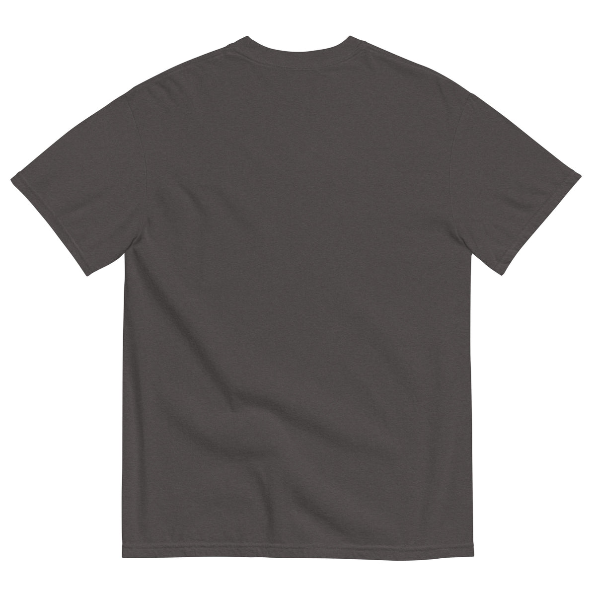 Job > EBT T-Shirt - Graphite – Blaze Media Shop
